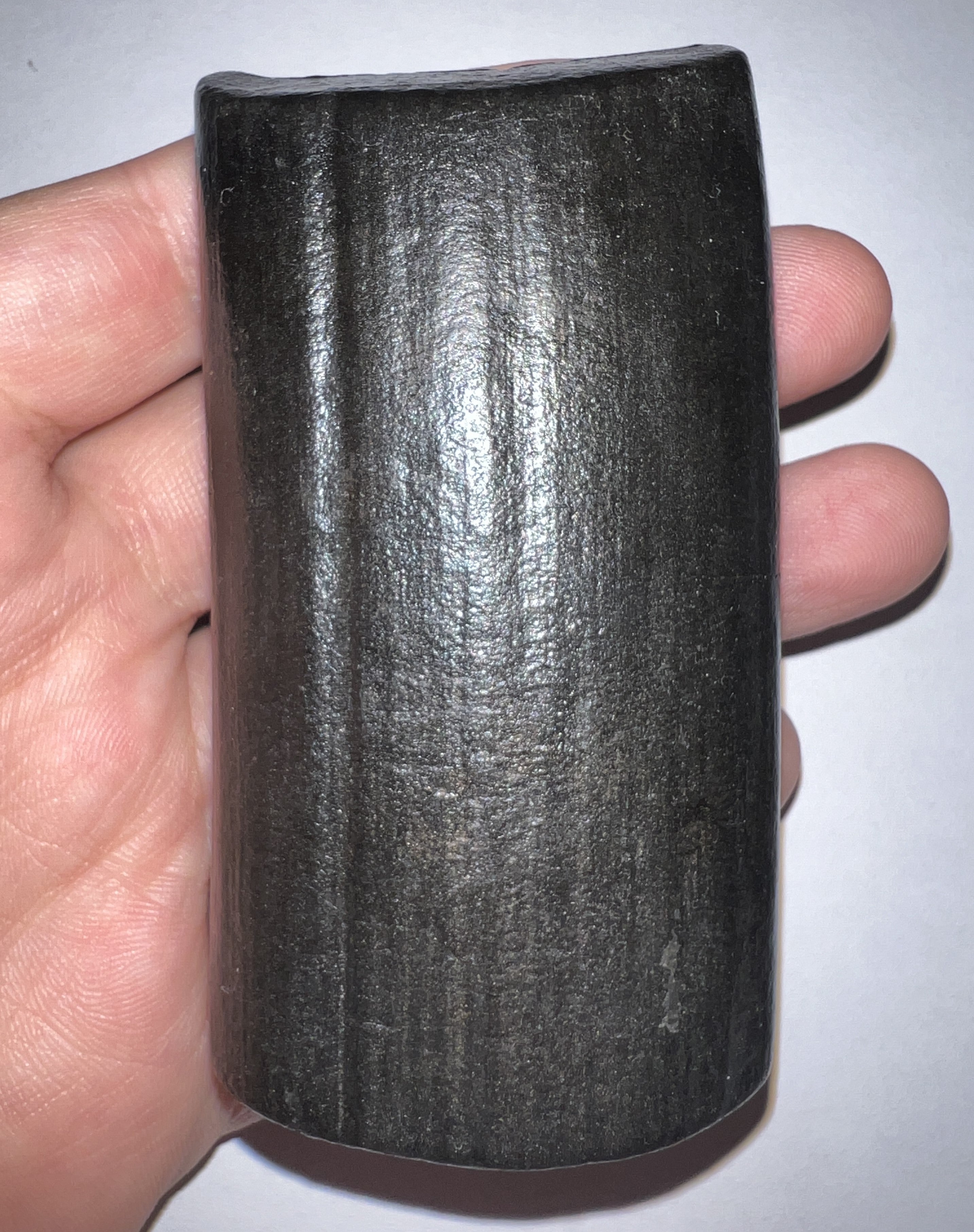 Authentic Giant Ground Sloth Eremotherium Partial Tooth for sale 3.38 ...